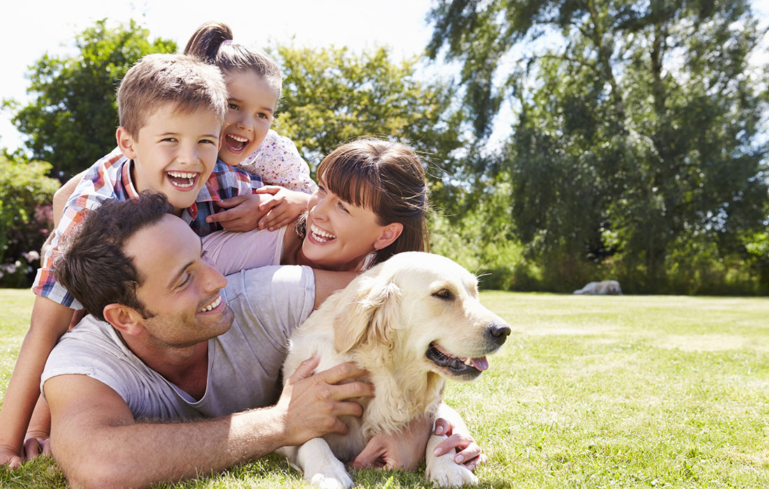 Pet Trusts: Can you Place a Value on Man's Best Friend?