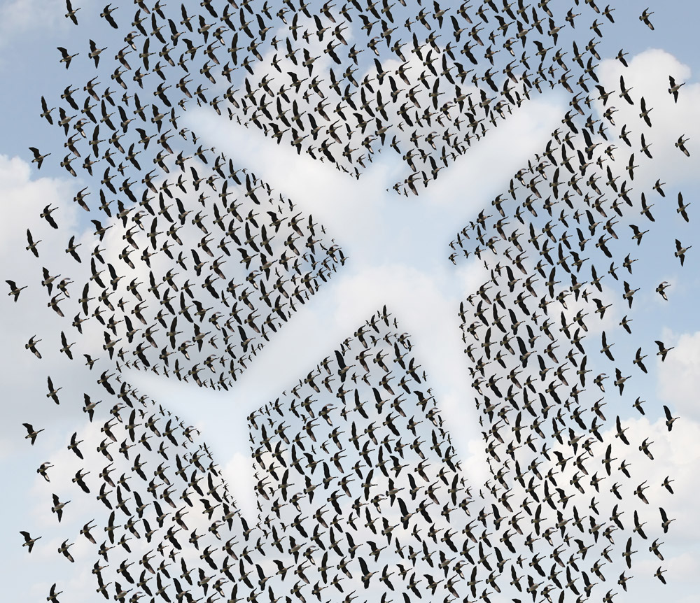 Things to Consider When Moving Domicile to Florida